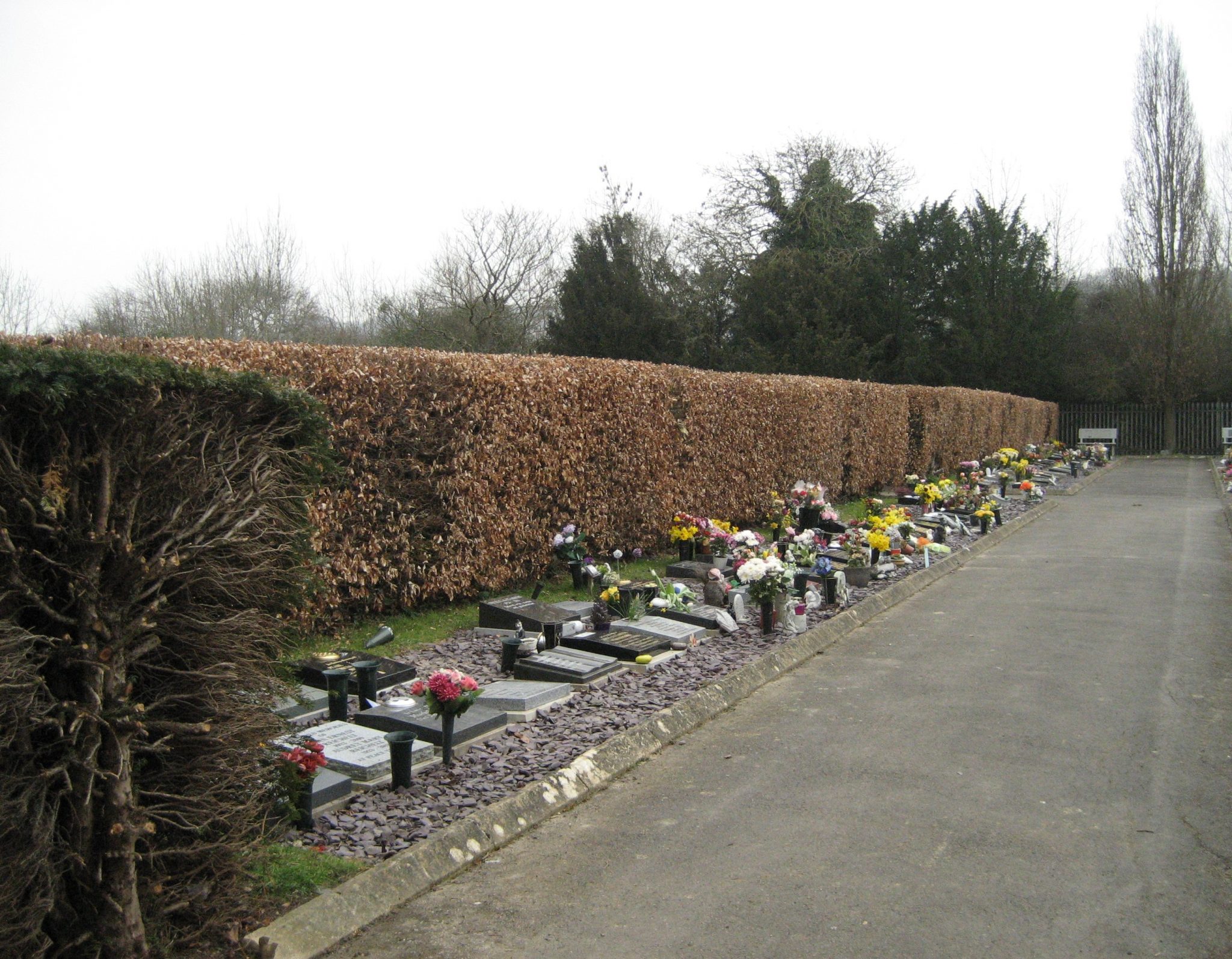 Cremated remains grave options - Cheltenham Borough Council bereavement ...